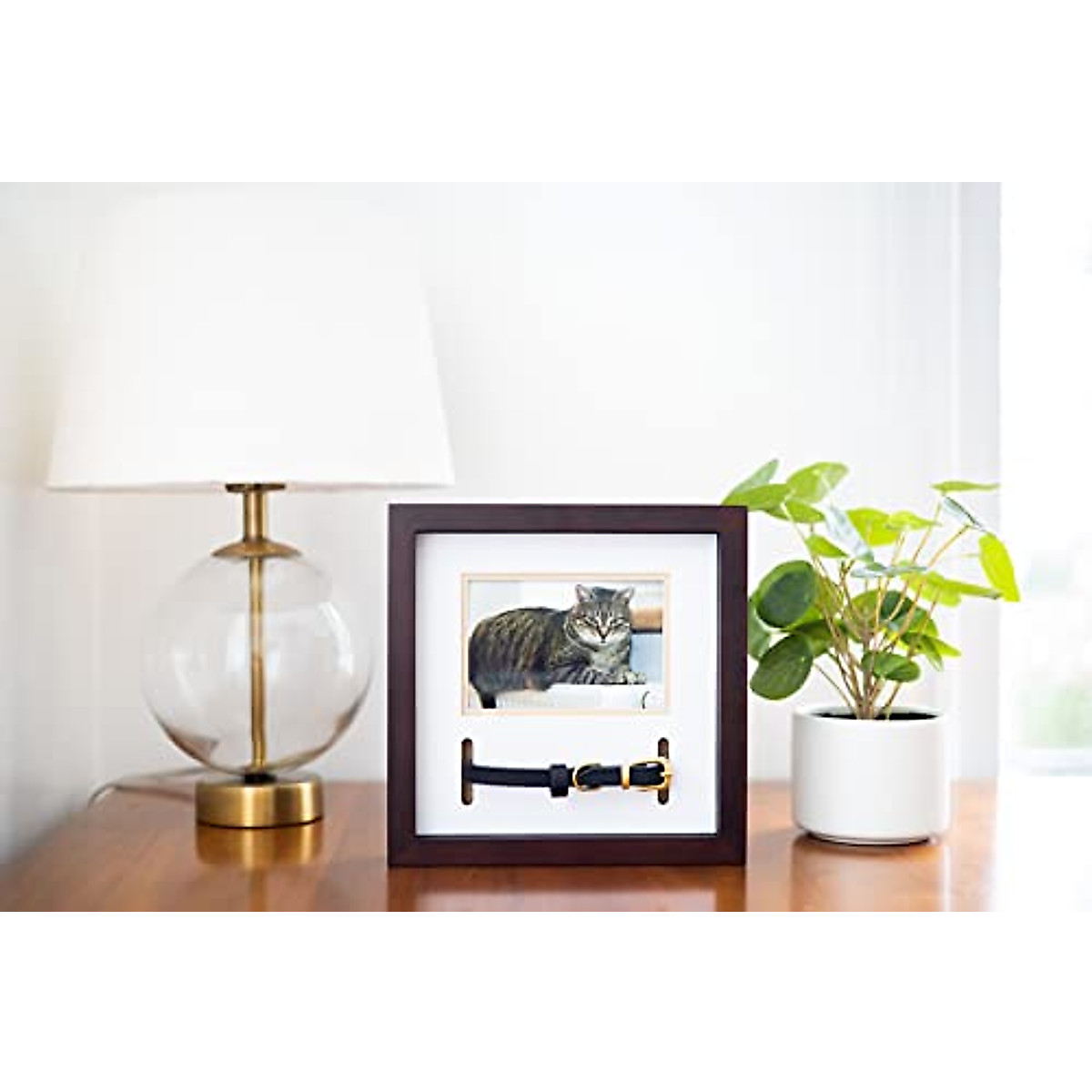 Pearhead Pet Collar Keepsake Frame, Pet Memorial Picture Frame, Pet Owner Home Decor, Cat Or Dog Keepsake, 3" x 4.5" Photo Insert, Wall Mount And Tabletop Frame, Espresso