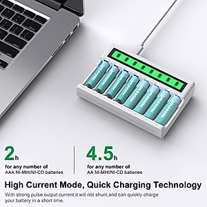 Deleepow Rechargeable AAA Batteries NiMH 1.2V 1100mAh Triple A Batteries 8 Pack with 8 Slot LCD Charger