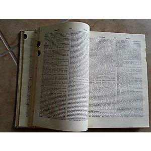 Webster's Dictionary of Synonyms 1st First Edition
