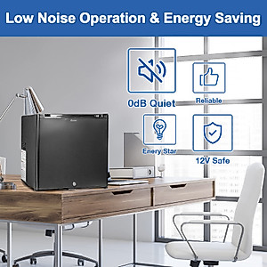 SMETA Mini Fridge with Lock for Bedroom Quiet Lockable No Noise Absorption Mini Refrigerator 12V/110V Compact Portable DC Locking Refrigerator for Office Van Medication Storage Dorm, 1.0 Cu.Ft, Black