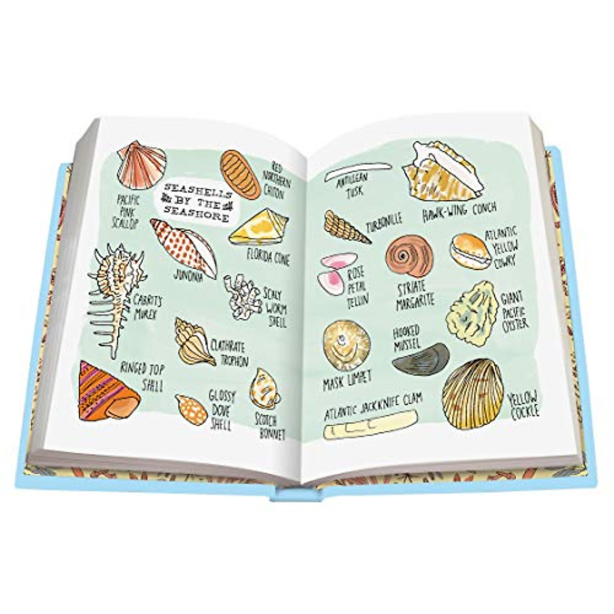 Julia Rothman: Farm, Food, Nature Engagement Calendar 2021