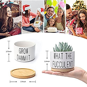 Succulent Pots, Popvip 3.15 Inch Ceramic Funny Planter Pots with Bamboo Tray, Housewarming Gift for Women, Best Friend, Daughter, Mom, Coworker, Pack of 2 - Plants Not Included (A)