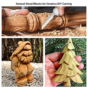 Wood Whittling Kit with Basswood Wood Blocks Gifts Set for Adults and Kids Beginners, Wood Carving Kit Set Includes 3pcs Wood Carving Knife & 8pcs Blocks & Gloves for Widdling Kit