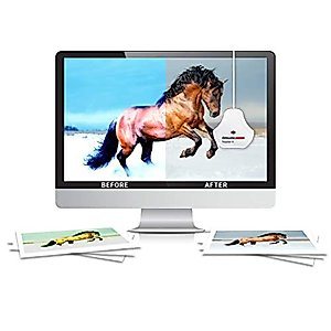 Datacolor SXSSR100 Spyder X Studio: Suite of Photo Tools for Precision Control from Capture to Editing and Print
