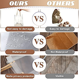 30 Pcs Clear Gift Bags with Handles, White Frosted Plastic Bags, Clear Reusable Bags for Gifts Party Favors, Transparent Tote Boutique Bags Gift Wrap Bags for Wedding, Retail, 10 x 8 x 3 Inch