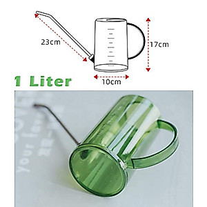 Watering Can Indoor, Small Watering Cans for House Plants, Succulents and Flowers, Long Spout, 1 Liter, with Bonus Plant Mister Spray Bottle