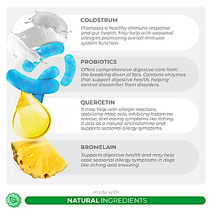 Dog Allergy and Itch Relief - 90 Soft Chews - with Probiotics, Salmon Oil, Colostrum, Quercetin, and Turmeric - Anti Itch Supplement, Support for Skin and Seasonal Allergies