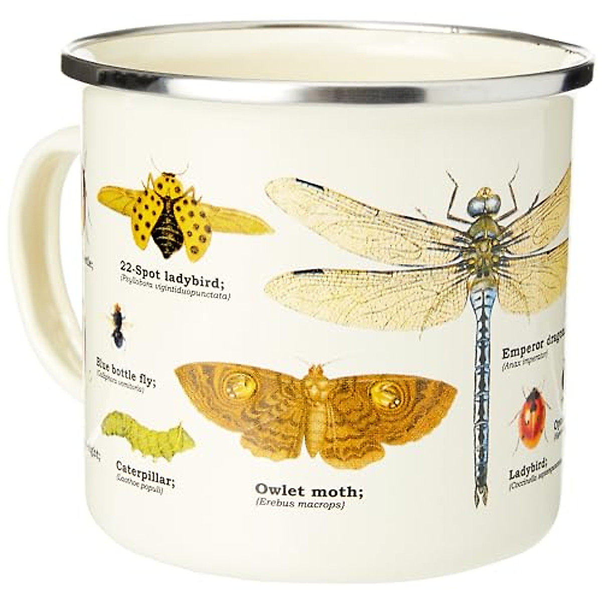 Gift Republic Insects Enamel Mug, 1 Count (Pack of 1), Multicolor,500 ml