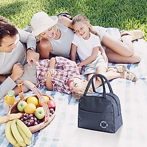 2 Pcs Lunch Bags, Insulated Lunch Bag, Reusable Cooler Lunch Tote Bag, Lunch Organizer Lunch Holder Lunch Box Bags with Pockets for Women/Men, Work, Picnic,Travel