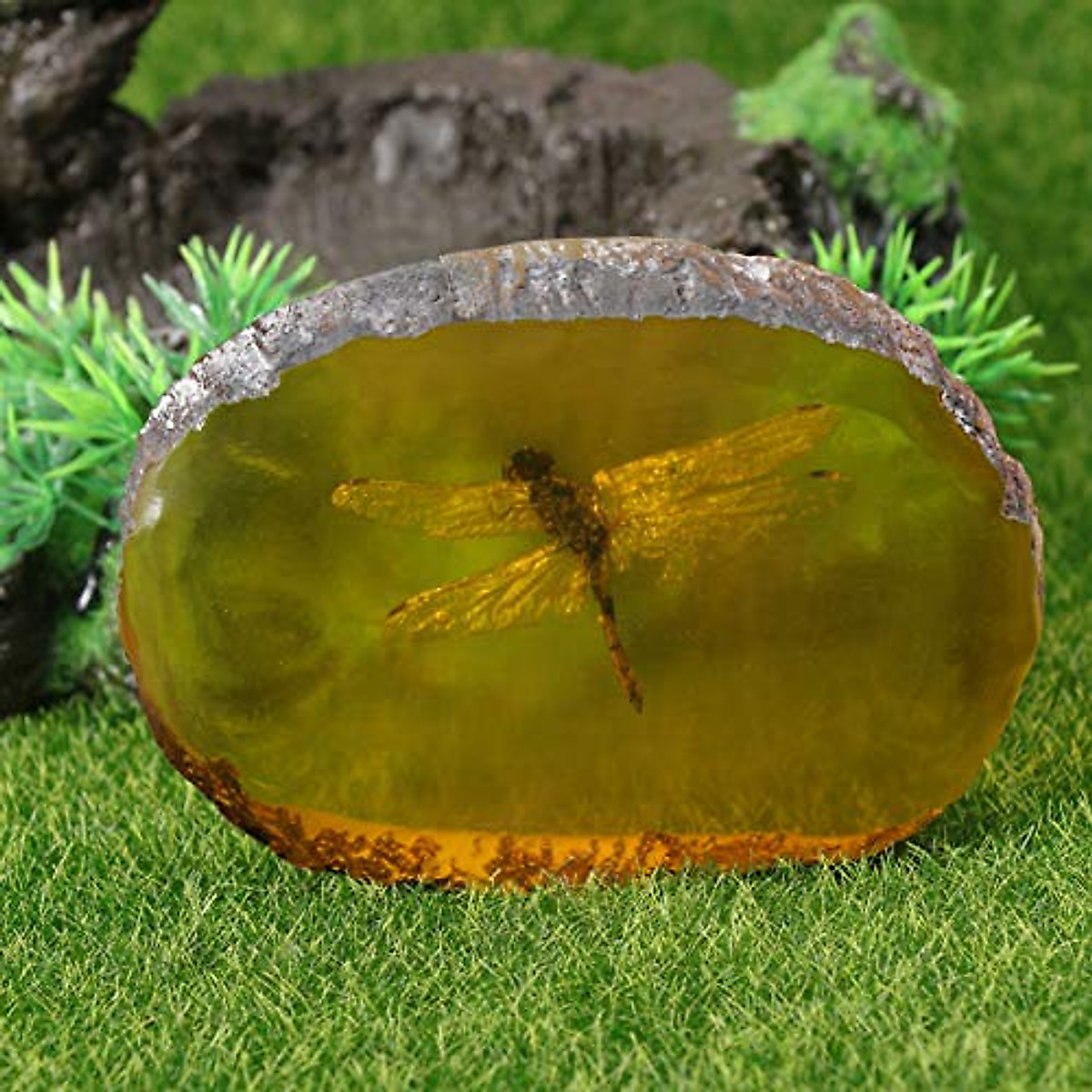 IMIKEYA Amber Fossil with Insects Samples Stones Crystal Specimens Home Decorations Collection Pendant Dragonfly