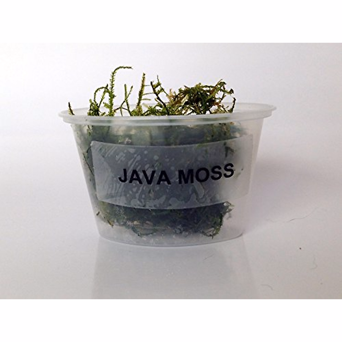 Java Moss Portion in 4 Oz Cup and Java Moss Mat - Easy Live Fresh Water Aquarium Plants