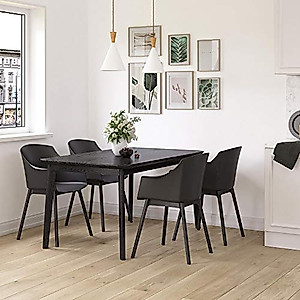 CosmoLiving by Cosmopolitan , Camelo Collection, Indoor/Outdoor Resin, 2-Pack, Black Dining Chairs, Contoured Back