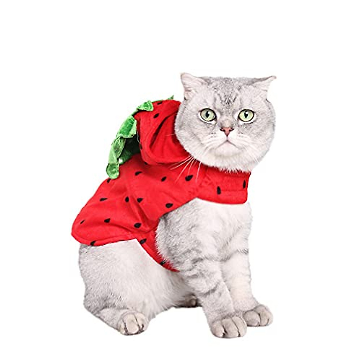 POPETPOP Cat Clothes - Strawberry Pet Halloween Costume Pet Apparel Puppy Kitten Strawberry Hooded Clothes Christmas New Year Birthday Party Daily Wear Dress Up