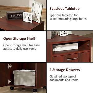 HOMCOM Mobile Storage Cabinet Organizer with Drawer and Cabinet, Printer Stand with Castors, Brown