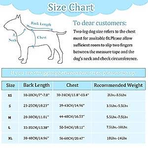 2 Pieces Puppy Dress Cute Tutu Princess Pet Dress Floral Design Puppy Dresses with Bowtie for Girl Small Dogs (XS)