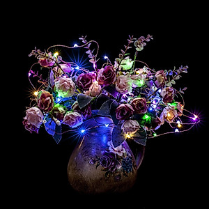 66ft LED Multi-Color Dimmable Copper Wire String Lights with Remote Control, Waterproof Rope Lights for Gardens, Homes, Patio, Wedding, Party(200LEDs, 66ft)