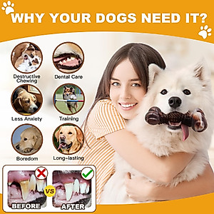 Anoodi Dog Chew Toys for Aggressive Chewers, Tough Nylon Indestructible Dog Toys for Small Medium Large Breed, Interactive Dog Bone Toys Durable for Chewing Teething Relaxing, Real Beef Flavored