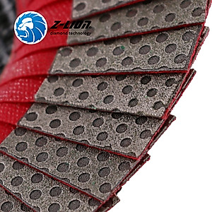 Z-LION 4 Inch Diamond Flap Disc 120 Grit Sanding Wheel for Ceramic Glass Rubber Plastic Concrete Hard Material Sanding