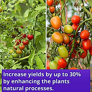 Humboldts Secret Flower Stacker – Best Flowering Formula for Bigger Harvests - Flowering Plant Food – Nutrient System for Potting Soil for Indoor Plants & Outdoor Plants - 8 Ounce