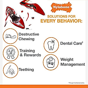 Nylabone Strong MAX Chew Cone Stuffable Chew Toy for Dogs MAX Cone Beef Medium/Wolf (1 Count)