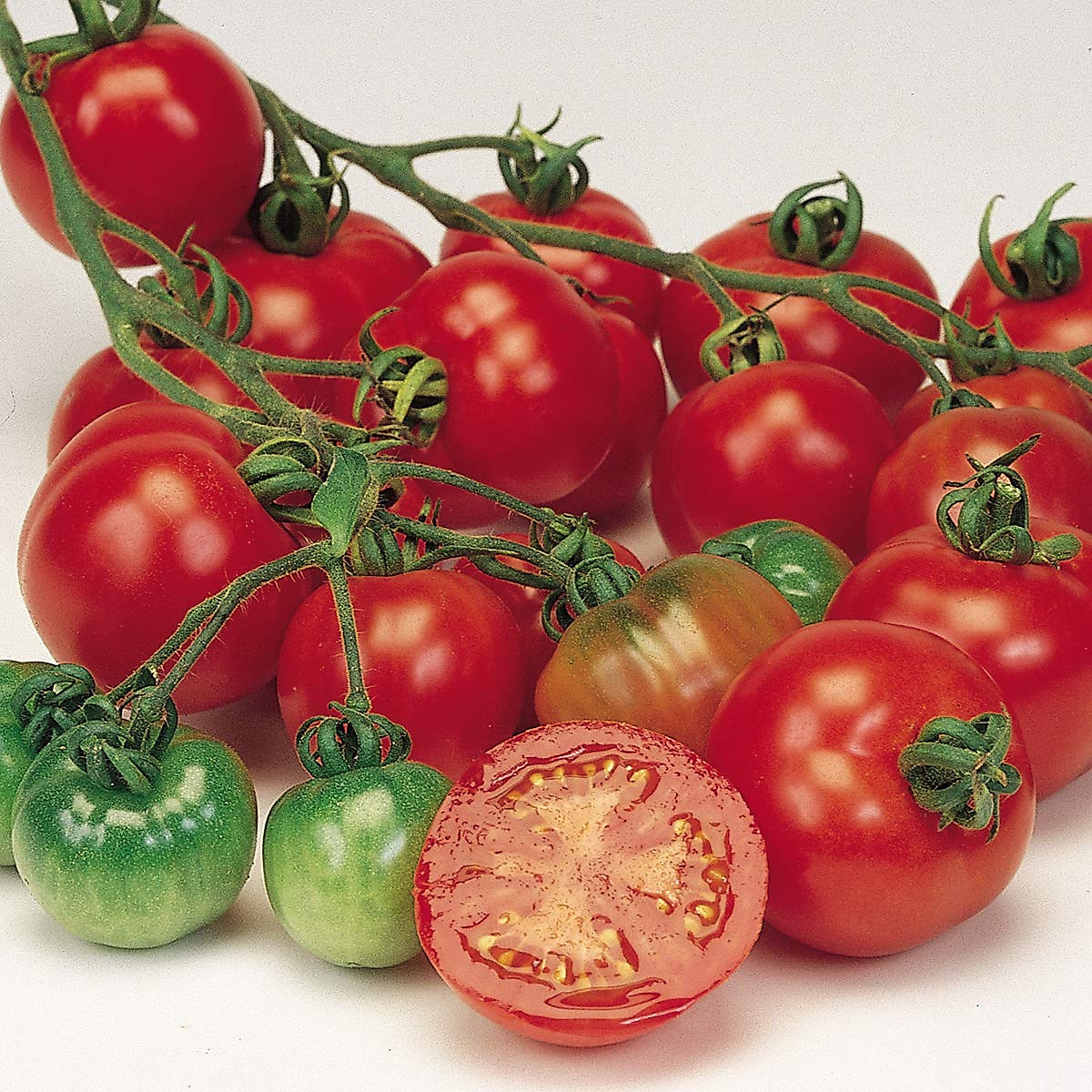 Burpee 'Bloody Butcher' | Red Beefsteak Slicing Tomato | 40 Seeds