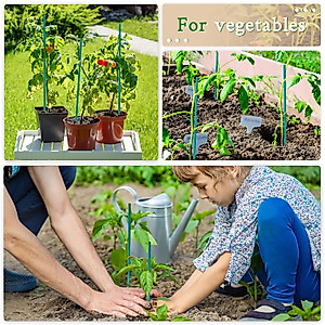 SupKing Plant Stakes,17&12 Inch Wood Plant Sticks 30 Pack Orchid Stake Sturdy Green Bamboo Plant Support Stake Gardening Floral Potted Plant Support