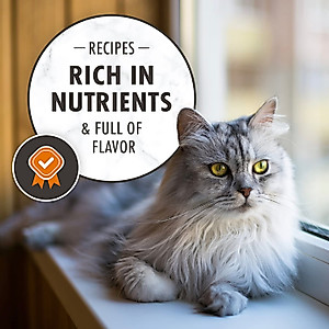 NUTRO WHOLESOME ESSENTIALS Adult Indoor Natural Dry Cat Food for Healthy Weight Farm-Raised Chicken & Brown Rice Recipe, 14 lb. Bag
