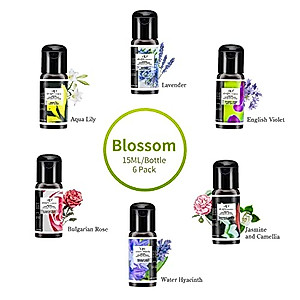 ap airpleasure Water-Based Purifier Air Washer, Revitalizer with 7 Color lights- Plus Lavender, Aqua Lily, Bulgarian Rose, English Violet, Jasmine&Camellia, Water Hyacinth, 15ml Each