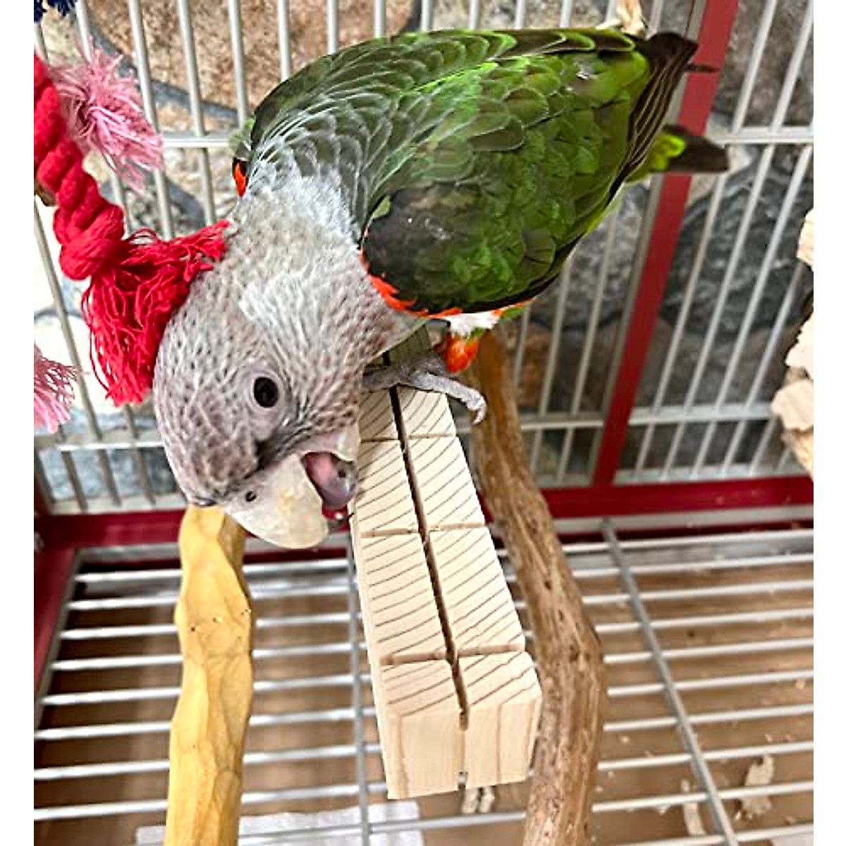 Parrot Chew Stix (Parrot Chew Stix - Set of 6 Parrot Toys)