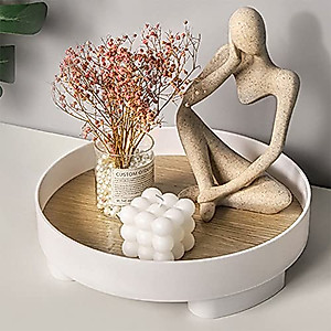 FIZZOQI Plastic Cosmetic Storage Shelf Condiment Rack Tabletop Rack Desk Round Tray Pantry Room Organizer Rack Household Restaurant Storage Rack