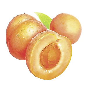 St Ives Gentle Apricot Facial Scrub 150Ml