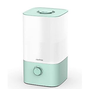 raydrop Cool Mist Humidifier Diffuser, 2.5L Essential Oil Diffuser, Top Fill Humidifier for Bedroom, Home and Office, Baby Humidifier with Adjustable Mist Output, Sleep Mode, Auto Shut Off