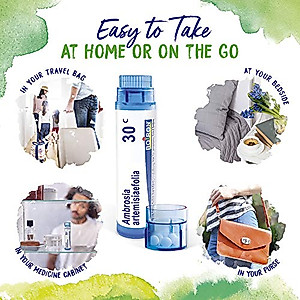 Boiron Ambrosia 30C Homeopathic Medicine for Relief from Allergy Symptoms of Sneezing, Runny Nose, Irritated Eyes, and Itchy Throat or Nose - 3 Count (240 Pellets)