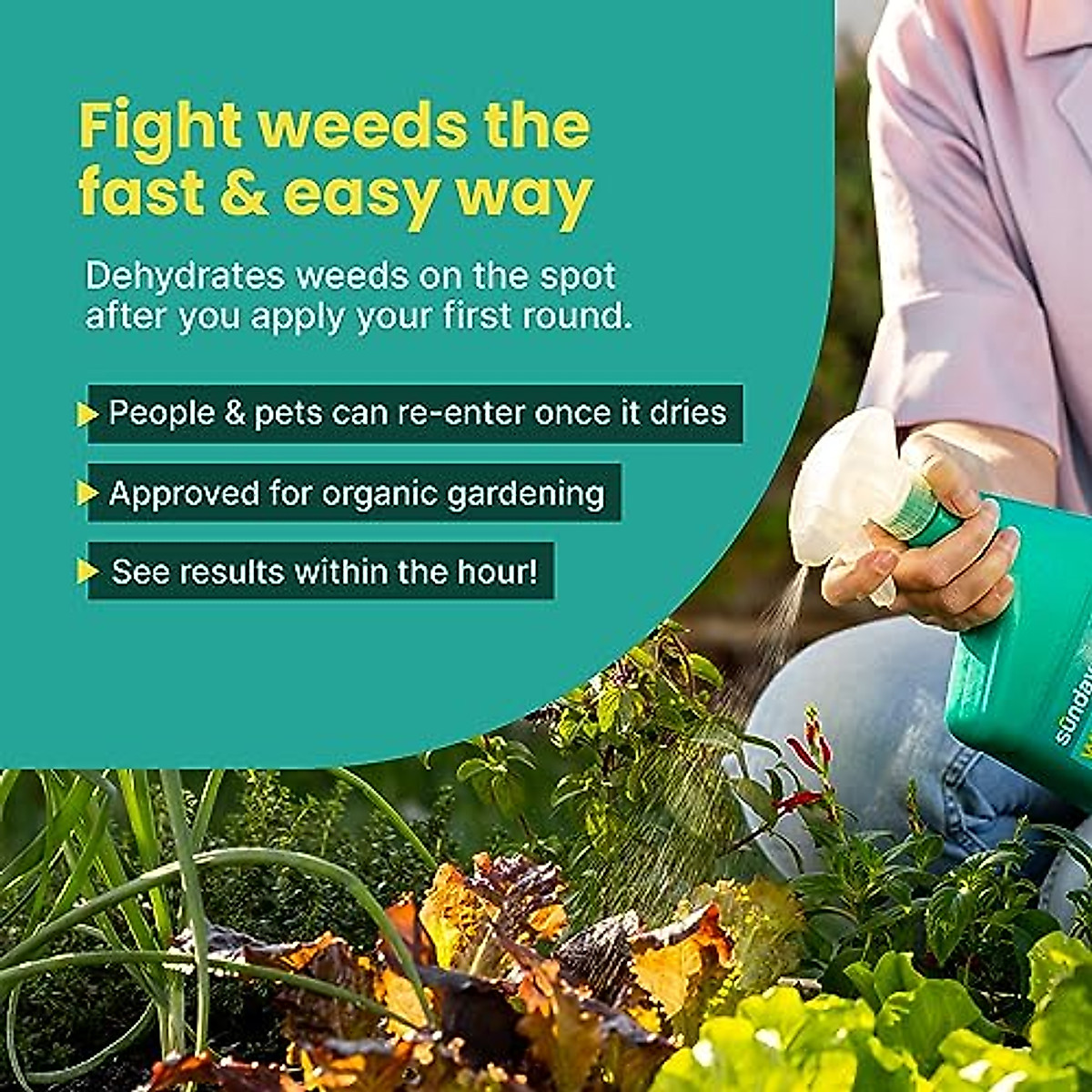 Sunday Weed Warrior, 32oz, 2 Pack - Grass & Weed Killer - Organic, Ready-to-Use Weed Killer Spray - Herbicide Spot Treatment - Kills Weeds, Grass, Algae and Moss