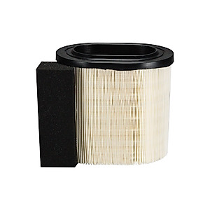 ECOGARD XA10580 Premium Engine Air Filter Fits Ford F-250 Super Duty 6.7L DIESEL 2017-2019, F-350 Super Duty 6.7L DIESEL 2017-2019, F-450 Super Duty 6.7L DIESEL 2017-2019
