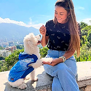 SILOPETS Puppy Clothes for Small Dogs Boy Hooded - Soft and Stretchy Small Puppy Clothes to Daily Walks - Sleeveless Puppy Clothes Boy (Sky S) Green