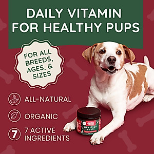 Premium Dog Multivitamin Supplement (170 Chews) - Mealtime Multi - with CoQ10 - Probiotics - Pumpkin - Immune Support - Promotes Better Joint Mobility - Healthy Skin & Coat - Made in The USA