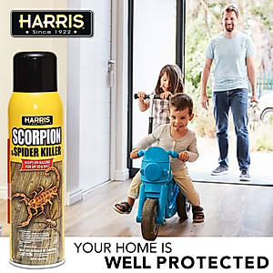 HARRIS Scorpion and Spider Killer, 16oz Aerosol with 6 Week Residual Kill