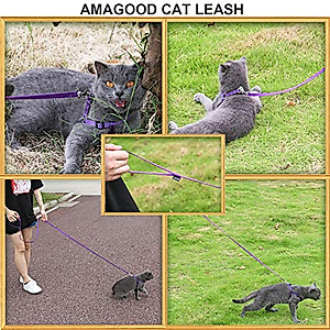 AMAGOOD 6 FT Puppy/Dog Leash, Strong and Durable Traditional Style Leash with Easy to Use Collar Hook,Dog Lead Great for Small and Medium and Large (Purple,5/8" x 6 Feet)