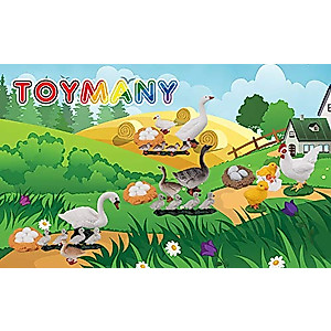 Toymany 16PCS Life Cycle of Goose White Swan Chicken Duck Farm Animals Figures, Plastic Safariology Growth Cycle Eggs Figurines Toy Kit School Project Cake Topper for Kids Toddlers