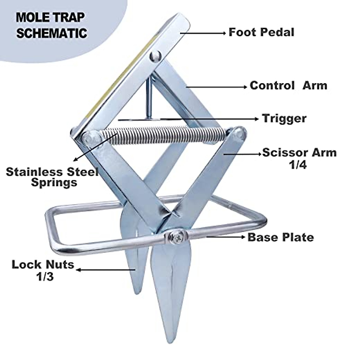 2 Pcs Mole Traps,Galvanized Steel Mole Scissor Trap,Reusable Mole Gopher Traps,Mole Killer,Easy Set Mole Eliminator Trap for Lawns