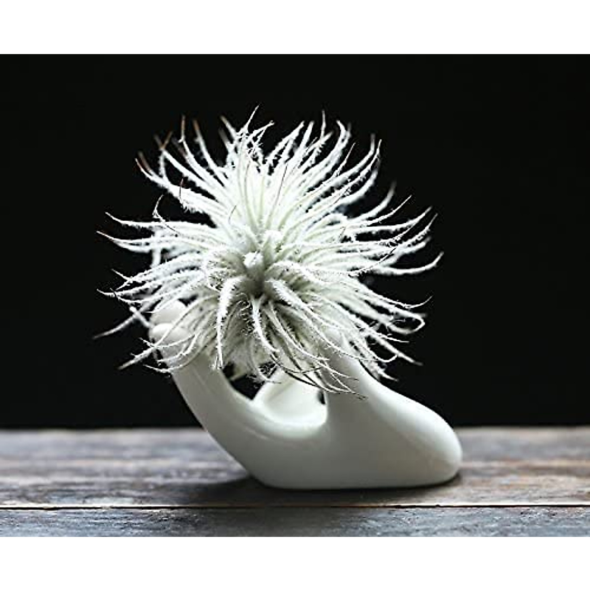 Dahey Air Plant Holder Cute Ceramic Mini Hand Shape Stand Airplants Tillandsia Small Container Pot Plant Decorative Home Decor for Desk Table Shelf,White,1 Pack