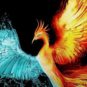 Fantasy Phoenix Tapestry, Water Ice and Fire Rising Phoenix Animal Anime Wall Hanging for Bedroom, Aesthetic Tapestry for Men Beach Blanket College Dorm Home Decor(60X40)