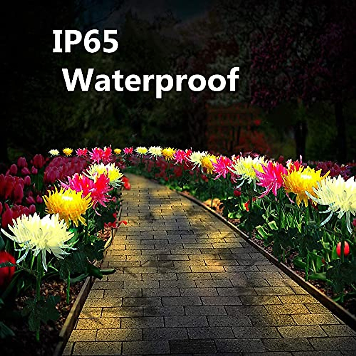 XinCanKun 4 Pack Outdoor Solar Lights, Solar Garden Lights with 4 Bigger Chrysanthemum Flowers, Waterproof Outdoor Lights - Bigger Solar Panel for Garden Patio Yard Pathway (4 Pack White)