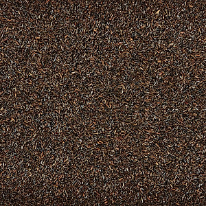 Kaytee Nyjer Wild Bird Food Seed, 8 Pound