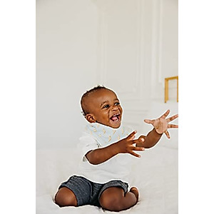 Copper Pearl Baby Bandana Drool Bibs for Drooling and Teething 4 Pack Gift Set Vance, Soft Set of Cloth Bandana Bibs for Any Baby Girl or Boy, Cute Registry Ideas for Baby Shower Gifts