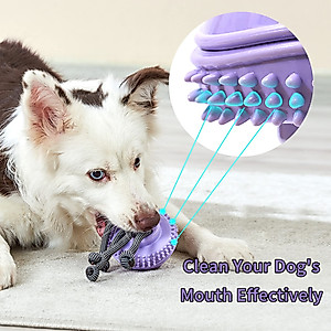 3-in-1 Dog Toy, Floating Dog Toy,Dog Water Toy for Pool & Beach, Dog Chew Teeth Cleaning Toy for Aggressive Chewers,Natural Jellyfish Leaky Food Toy for Large Medium Small Dog (2 Pack)