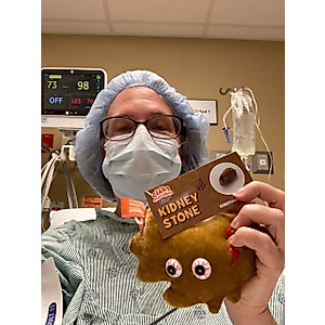 GIANTmicrobes Kidney Stone Plush - Learn About The Kidney and Health with This Memorable Gift for Family, Friends, Doctors, Nurses, Educators and Anyone with a Healthy Sense of Humor