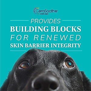 CeraSoothe® CHX+MC Antiseptic Shampoo 8oz