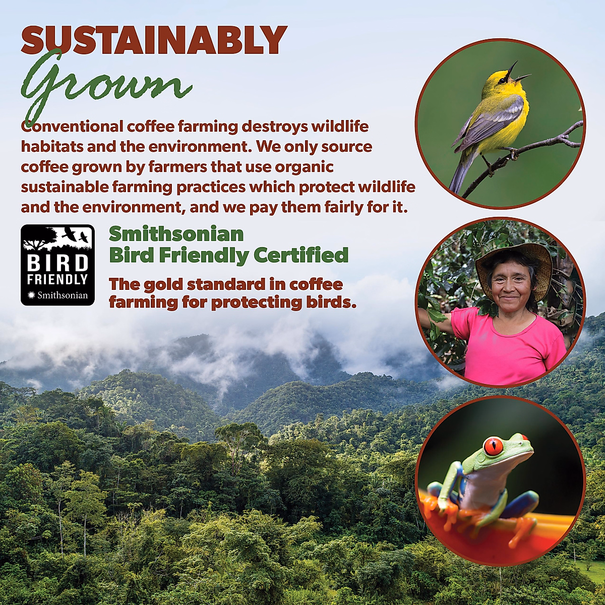 Java Planet Low Acid Coffee, Organic Colombian Single Origin: Whole Bean Medium Dark Roast - Smooth Full Flavored Coffee Bean, 1LB Bag